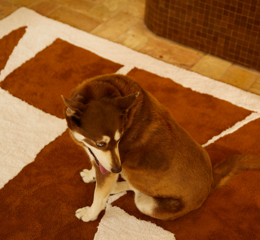 Double Rugs | Australia's first machine washable rug